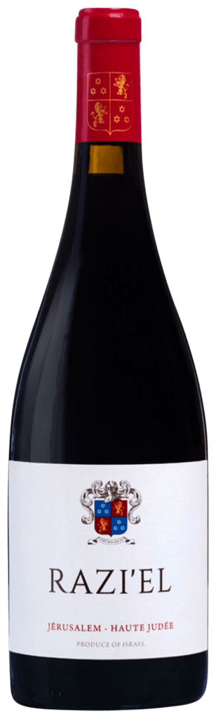 Razi'el Red Blend 2020 750ml – Mission Wine & Spirits