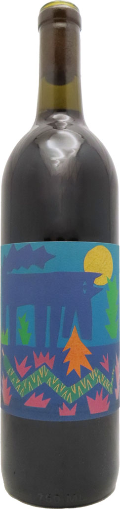 Vinos Pijoan El Carbonico 2024 750ml – Mission Liquor